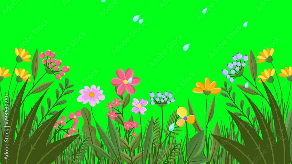 2d animated cartoon Watering and sprinkling water on fresh nature ...