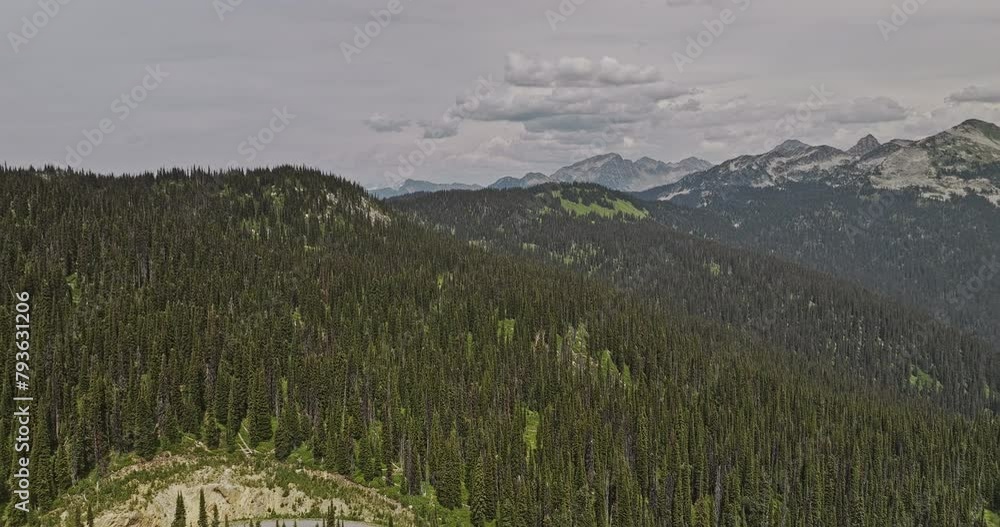 Mt Revelstoke BC Canada Aerial v1 high elevation shot drone flyover and ...