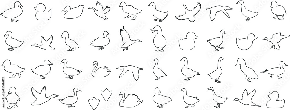 Duck line art vector illustration, black and white sketches of duck ...