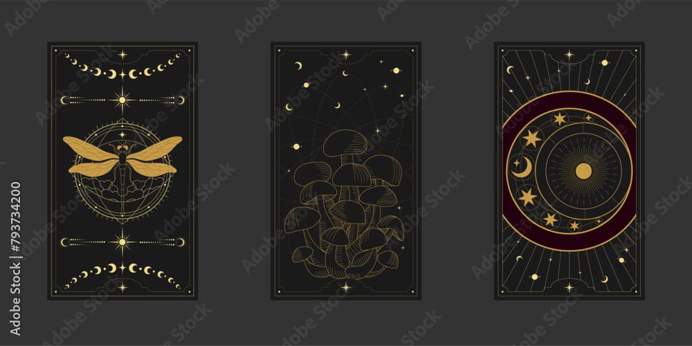 Vector mystic celestial set a with golden outline mushrooms, fly agaric ...