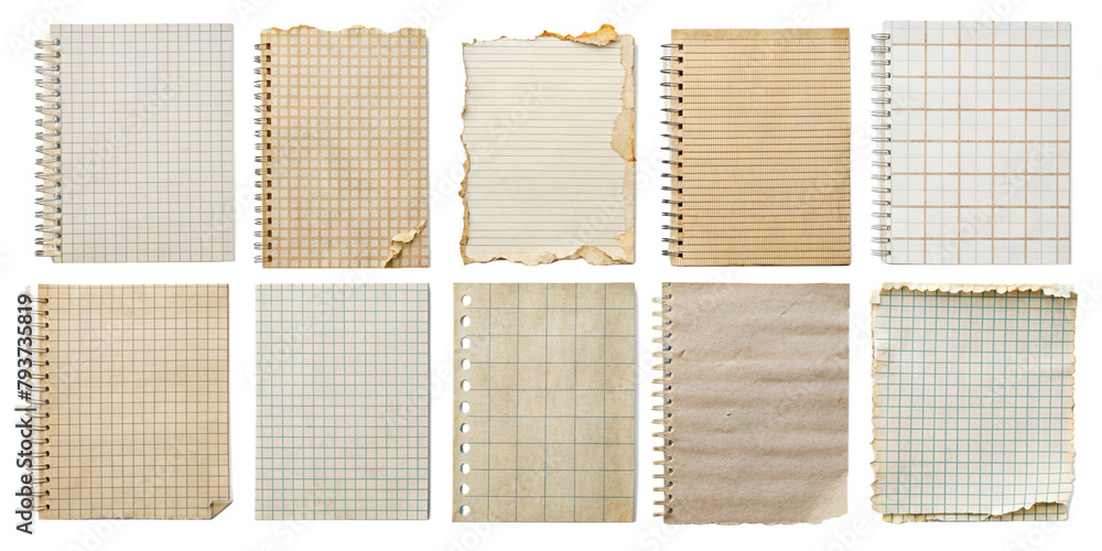 Set of various torn notebook pages. Assorted collection of paper sheets ...