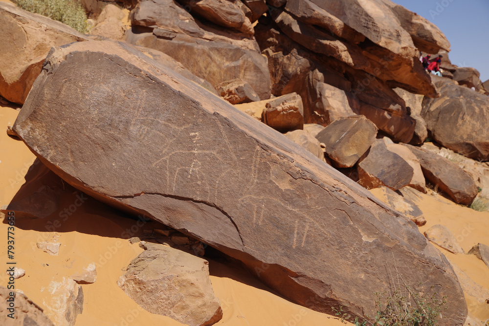 Series - Gravures rupestres du Tassili - rock engravings in Tassili n ...