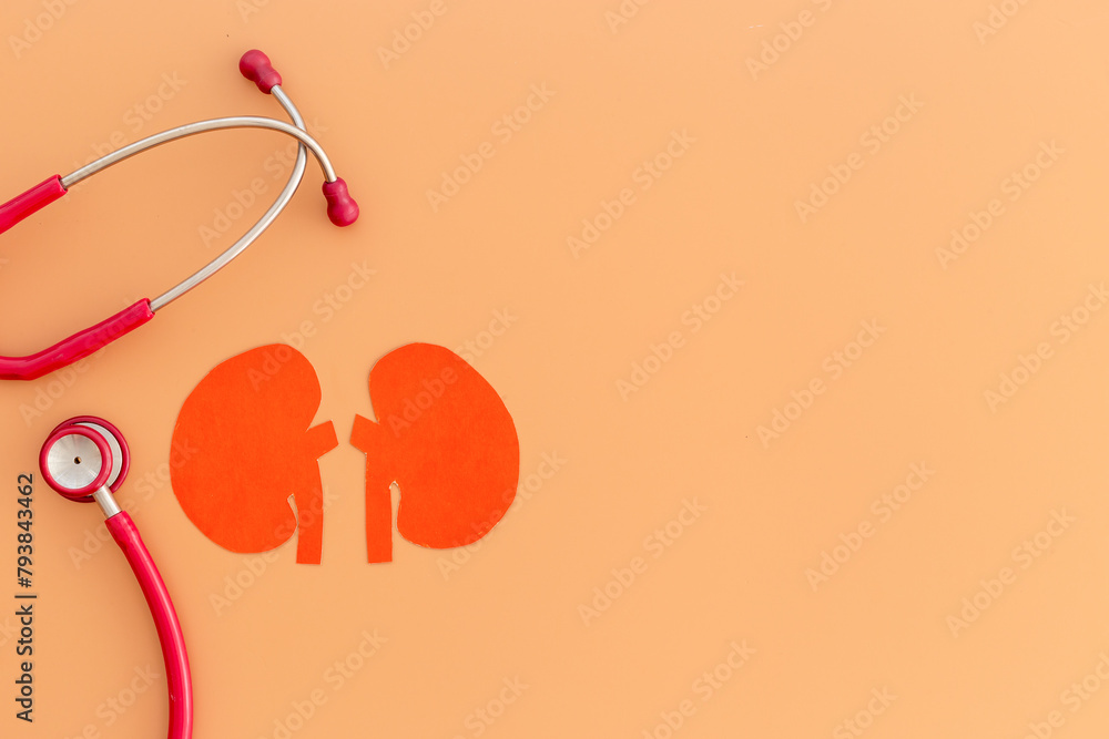 Human organ kidneys model and stethoscope, top view. Human health and ...