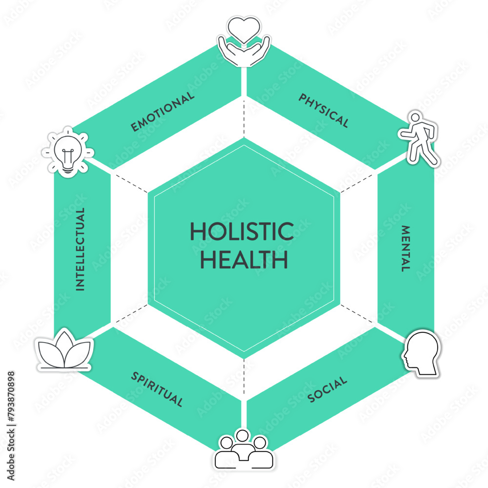 Vecteur Stock Holistic Health framework infographic diagram chart ...