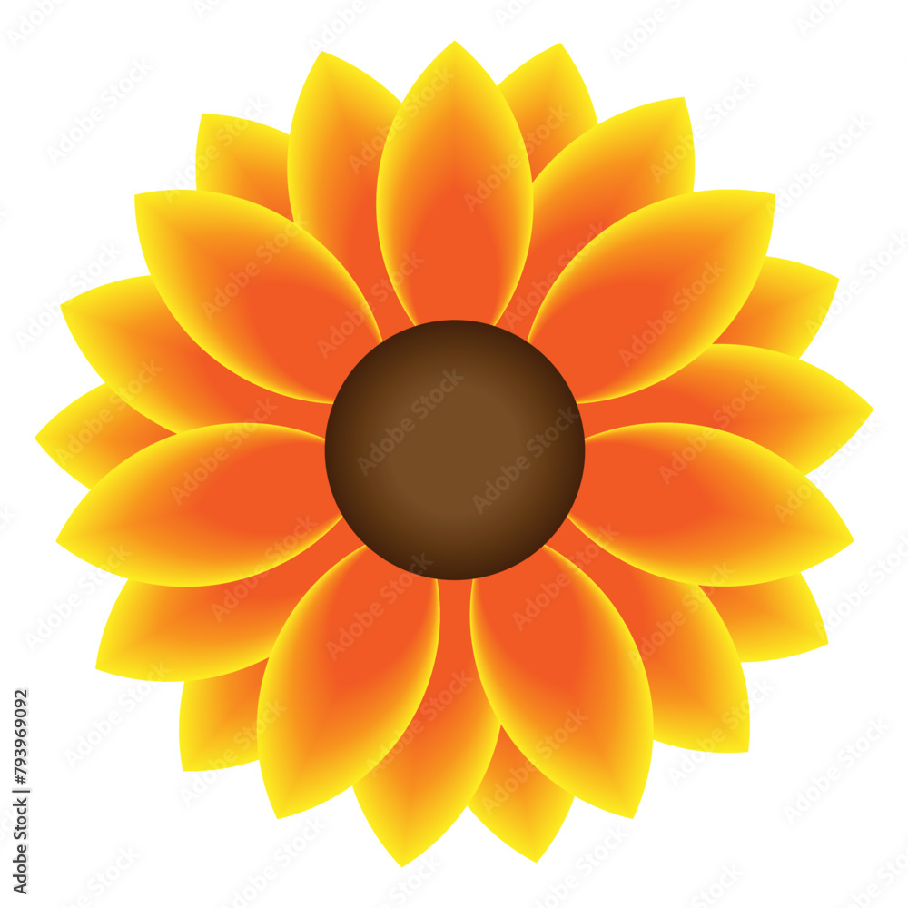 Vibrant Sunflower isolated on a transparent background. Summer flower ...