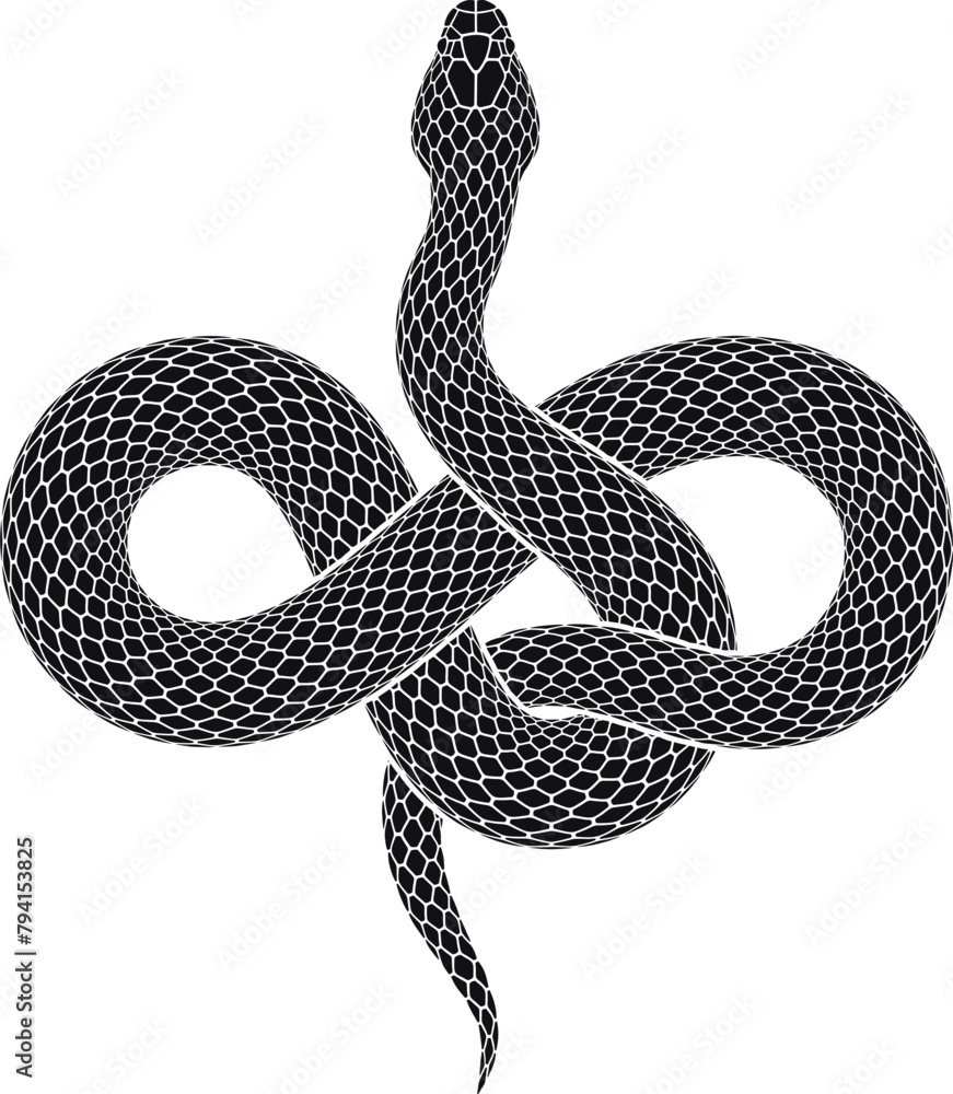 Vector illustration of snake intertwined in shape of infinity sign ...