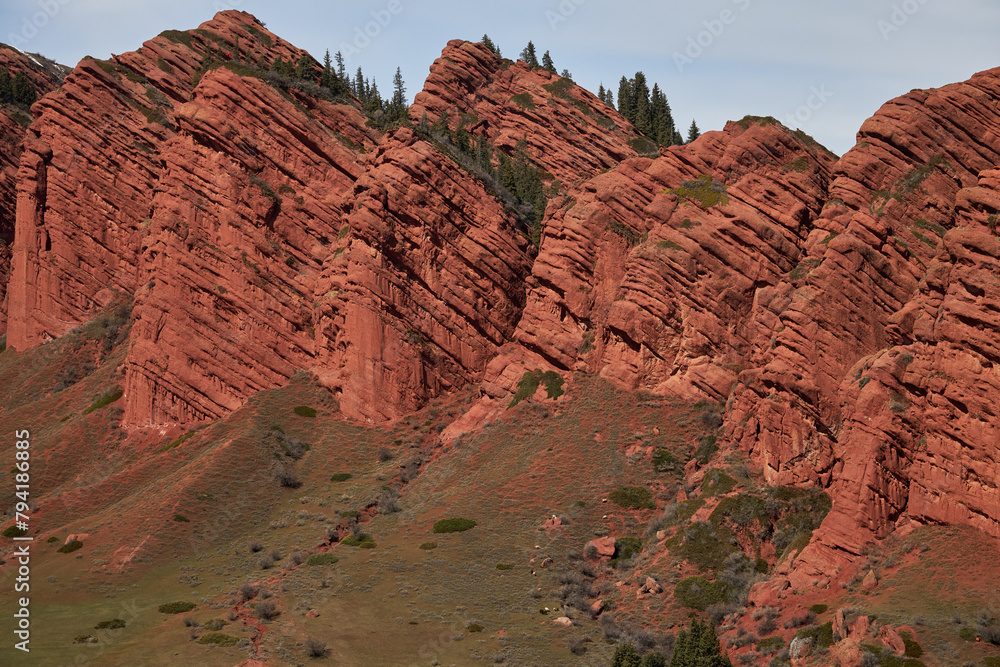 Red rocks seven oxen, coniferous trees on top of rock, 7 bulls, gorge ...