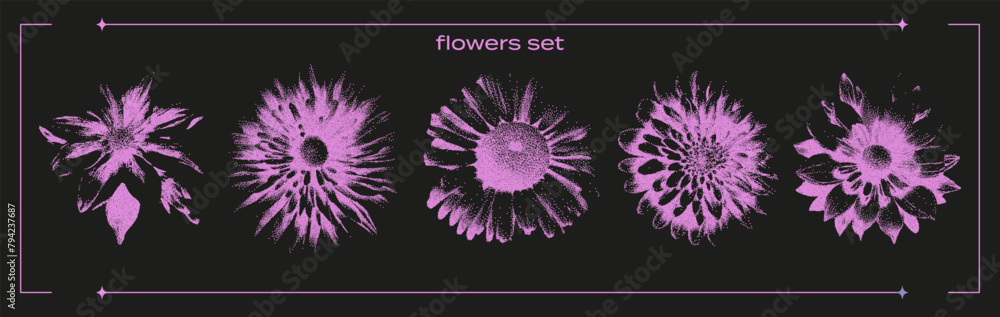Set of flowers with a retro photocopy effect. Flowers, chamomile, aster ...