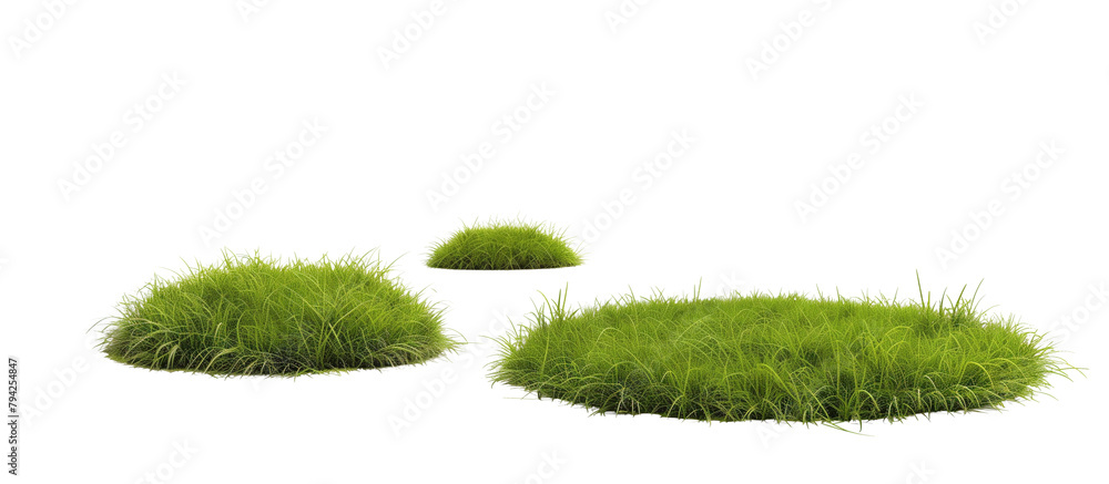 Series of grass circles decreasing in size, used in a modern landscape ...