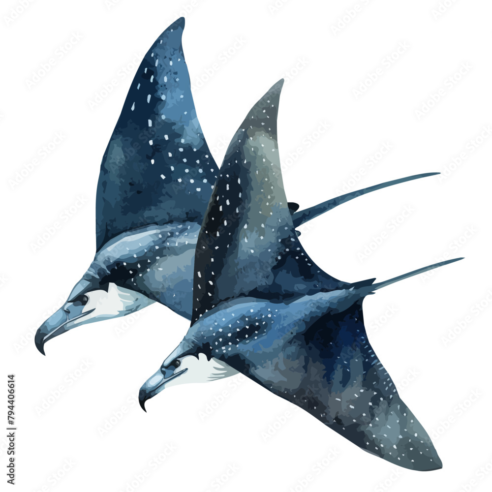 Watercolor drawing clipart of set Eagle ray , isolated on a white ...