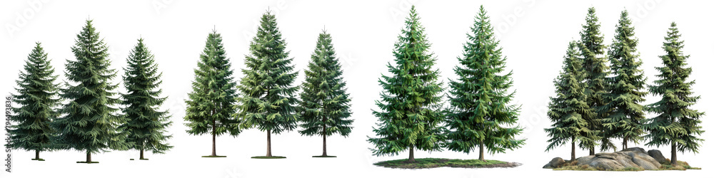 Douglas Fir Trees Hyperrealistic Highly Detailed Isolated On ...