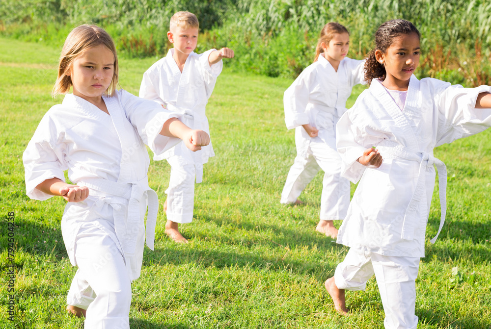 Barefoot kids doing kata during outdoor karate training. Stock Photo ...
