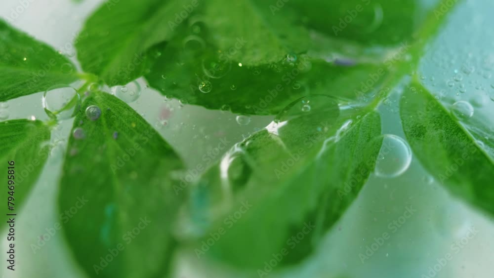 Cosmetic gel. Fresh leaf. Defocused green color organic plant ...