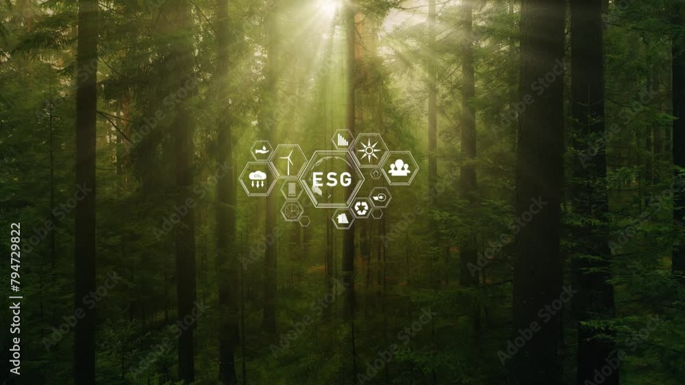 Magical sun rays through tree crowns with animated esg icons. Concept ...