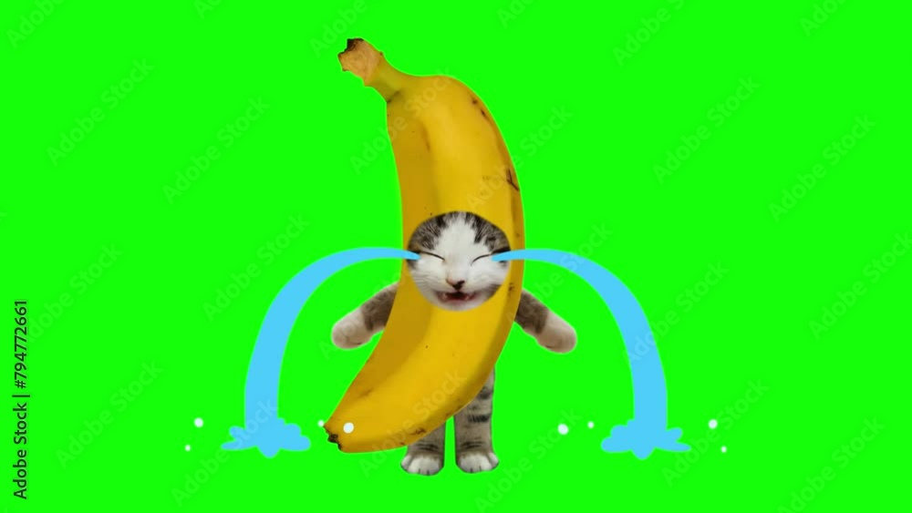 Vidéo Stock Cat meme Banana Crying, Banana and Cat Crying Green screen ...