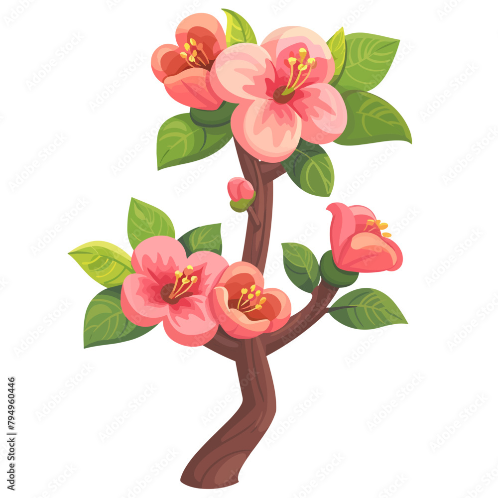 A pink Araza flower with green leaves is shown in a white background ...