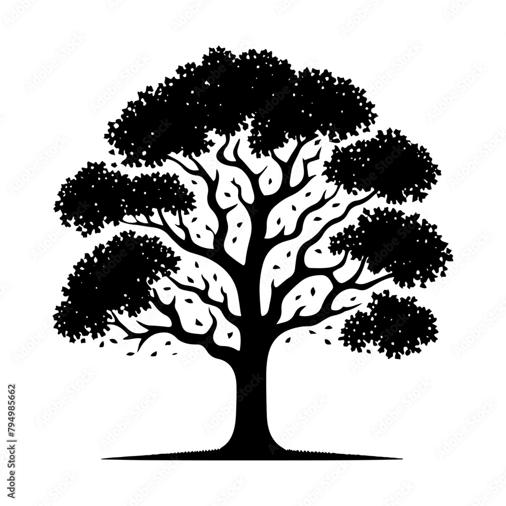 Sycamore Tree Vector silhouette- Portraying the Graceful Presence of ...