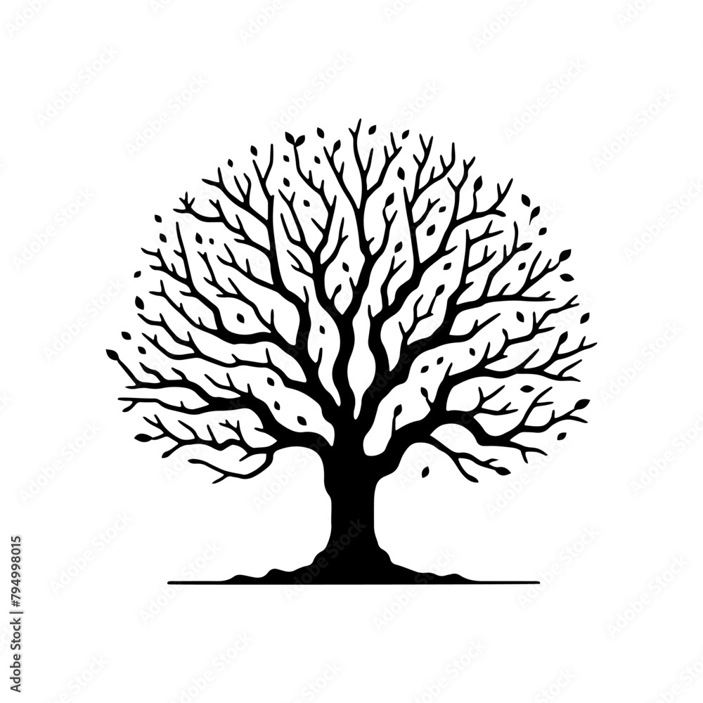 Walnut Tree Vector Silhouette Illustrating the Tranquil Presence of ...