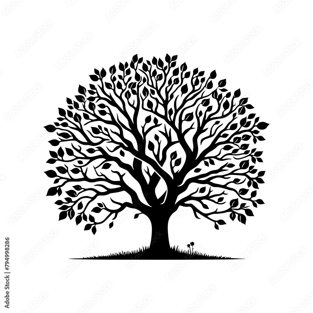 Walnut Tree Vector Silhouette Illustrating the Tranquil Presence of ...