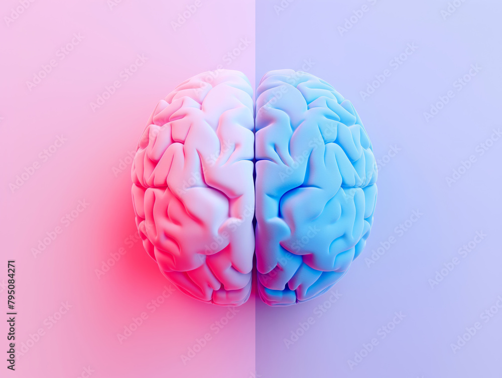Human brain divided in two hemispheres, blue and red, on a pink and ...