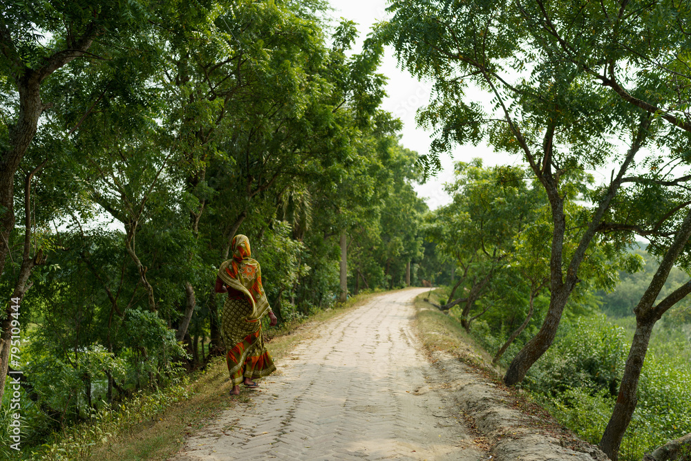 A woman in traditional sari walks in the indian Sundarbans in rural ...