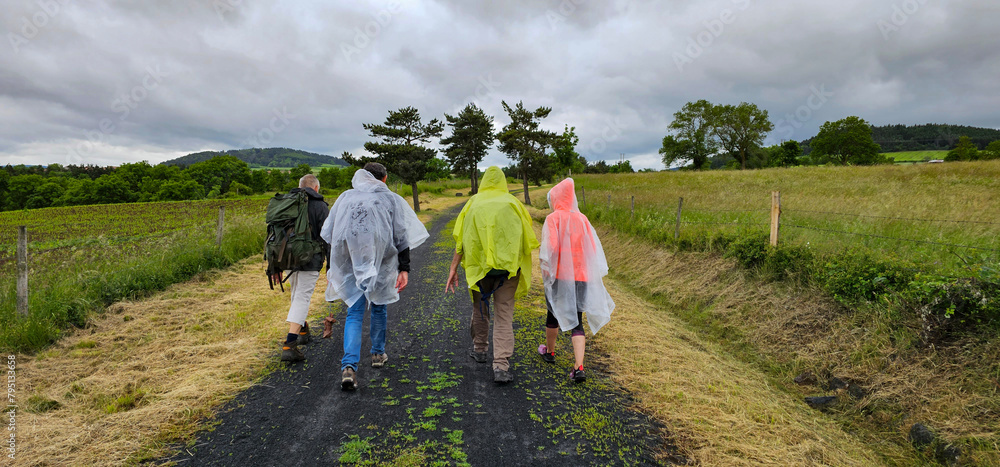 Back view of a group of four friends walking through the countryside on ...