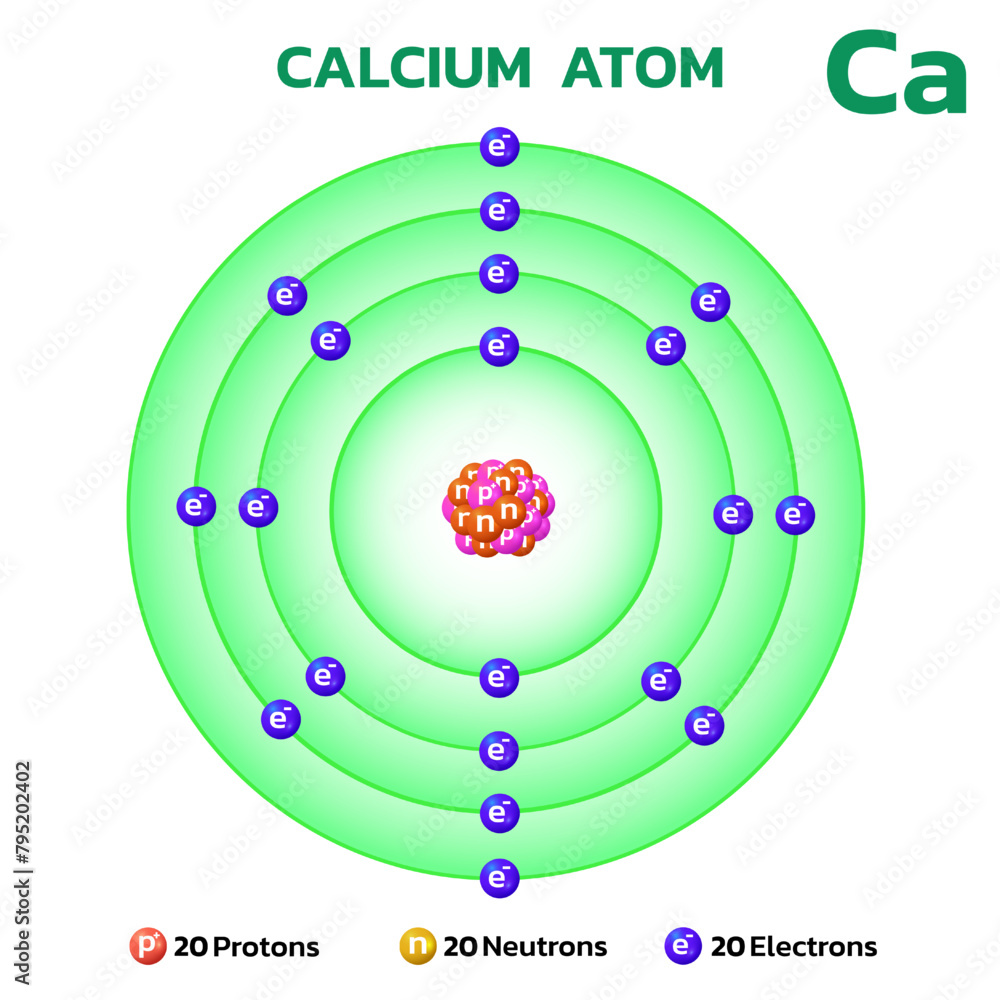 Calcium atomic structure.Consists of 20 protons and 20 electrons and 20 neutrons. Information ...