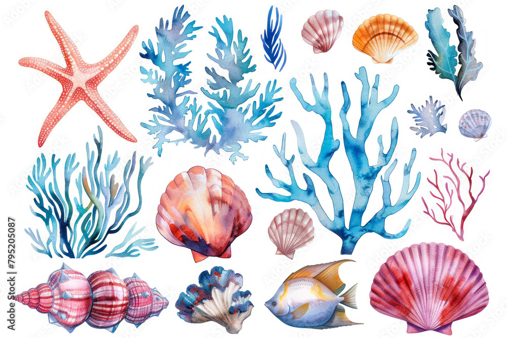 Watercolor Seashells clipart isolated on white background. sea clipart ...