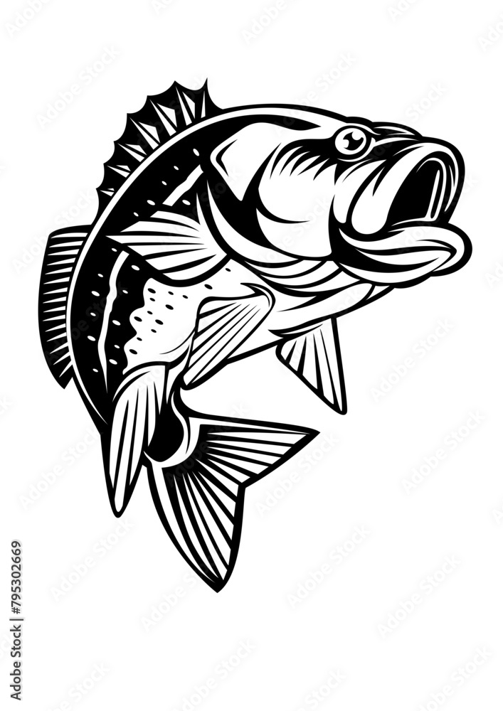 Bass Fish | Fisherman | Aquatic Animal | Lake Fishing | Marine Life ...