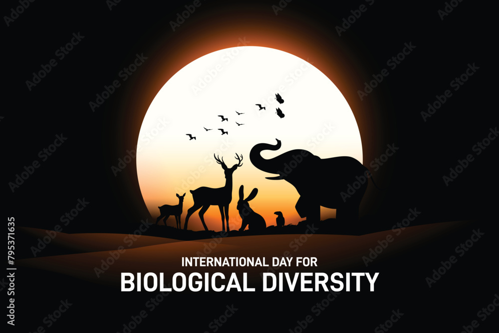 International Day for Biological Diversity creative theme ...