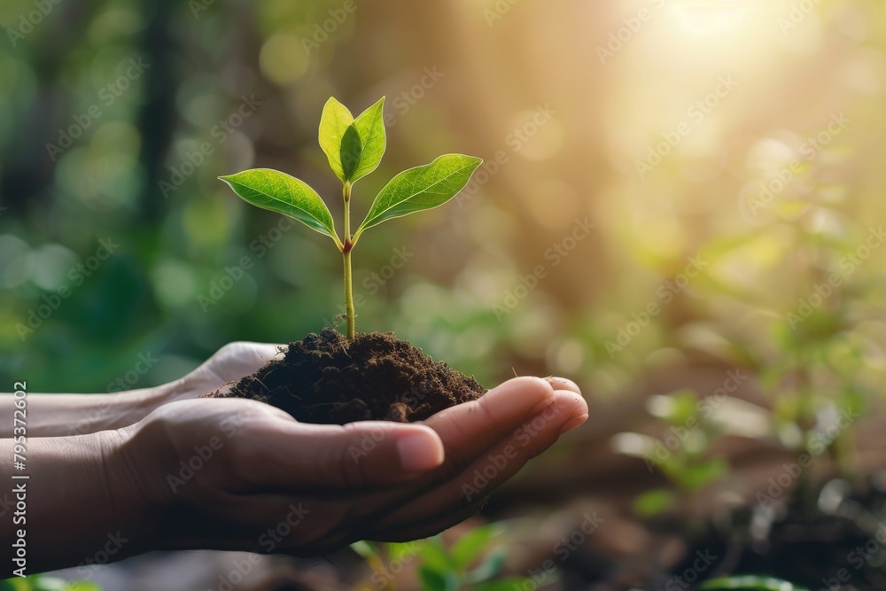 Planting trees with volunteer families for eco-friendly and corporate ...