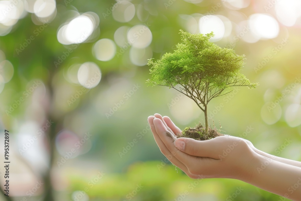 Planting trees with volunteer families for eco-friendly and corporate ...