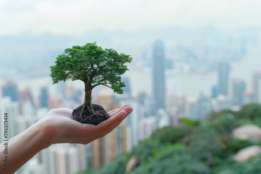 Planting trees with volunteer families for eco-friendly and corporate ...