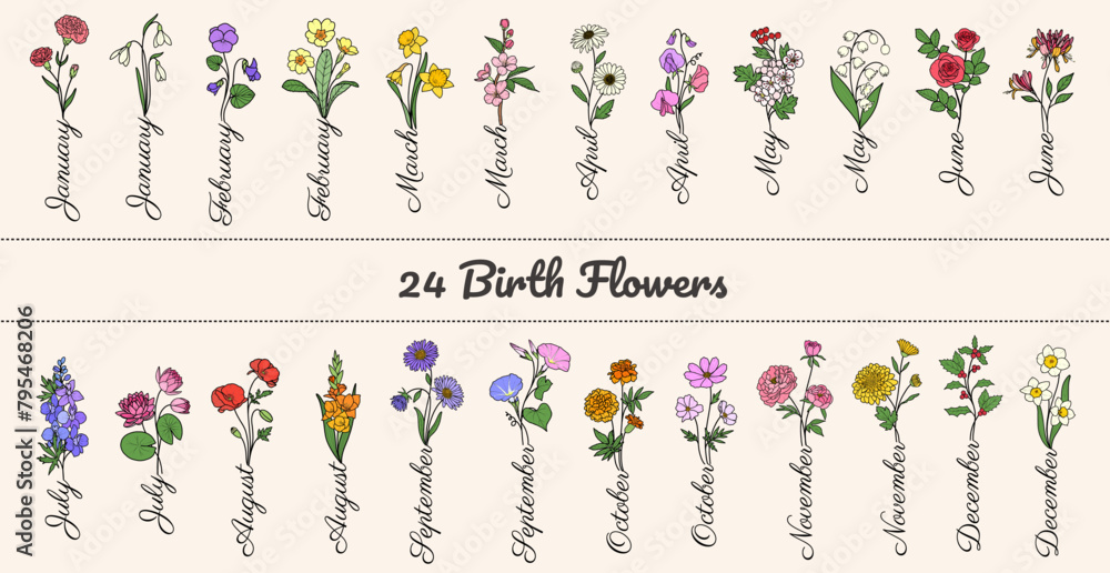 Set 24 birth flowers with month names, vector, for birthday, crafting ...
