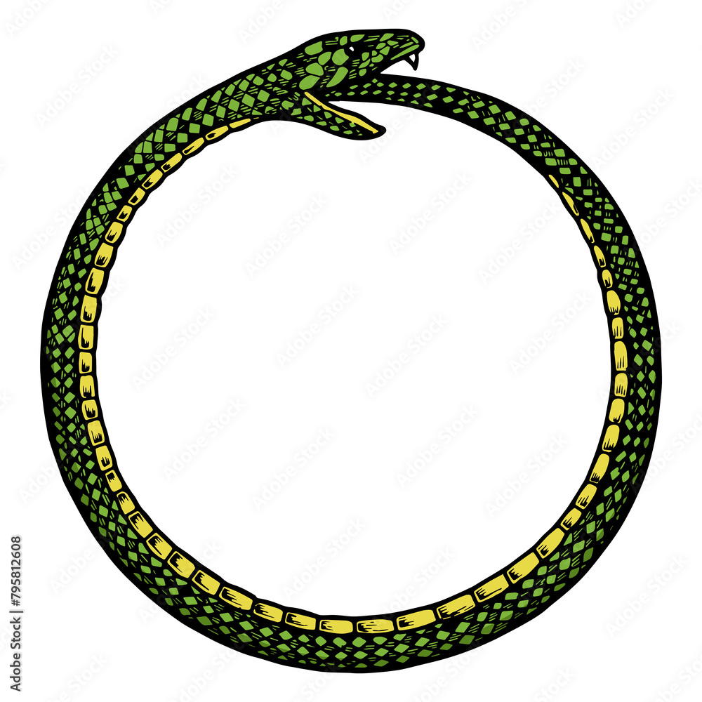 Snake bites itself color sketch engraving PNG illustration. Scratch ...