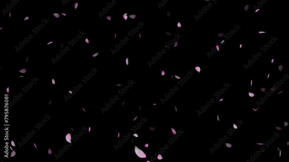 Vidéo Stock Cherry blossom petals flutter down, ink cherry petals ...