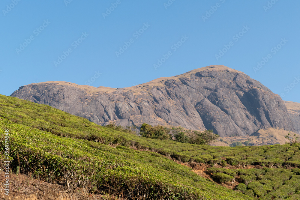 Mount Anamudi - elephant head, with 2,695m highest peak of the Western ...