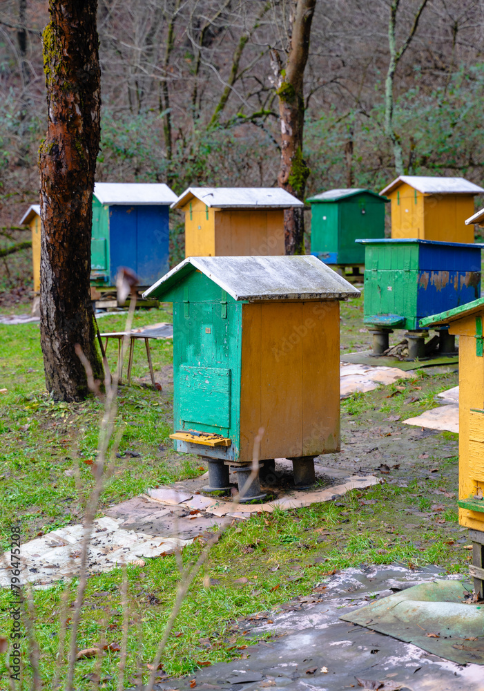 Traditional apiary in the forest. Raws of wooden, colorful bee hives ...