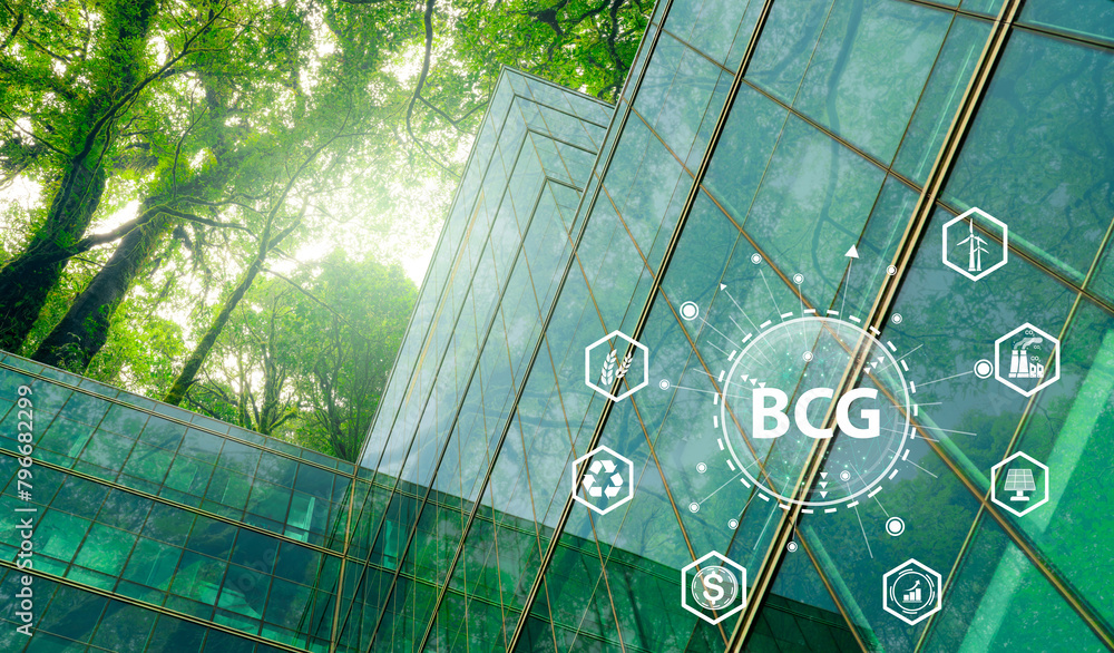 Bio-Circular Green economy concept. Corporate sustainability, renewable ...