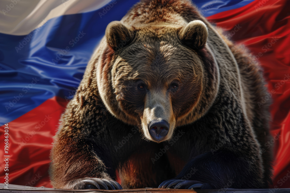Russian flag and closeup portrait of Russian brown bear. Russian Independence day patriotic ...