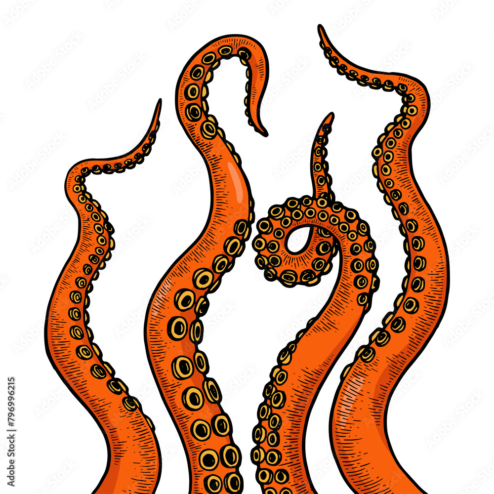 Octopus tentacle set color sketch line art engraving PNG illustration ...