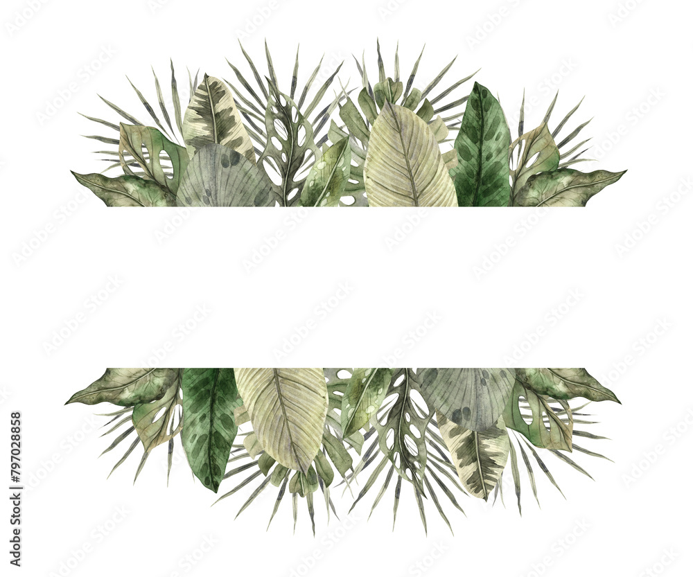 Monstera, calathea, dieffenbachia, palm, banana leaves. Watercolor ...