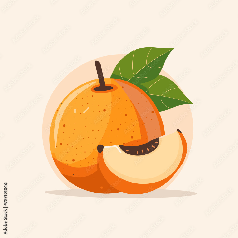 Santol fruit vector illustration, flat design. Isolated on white ...