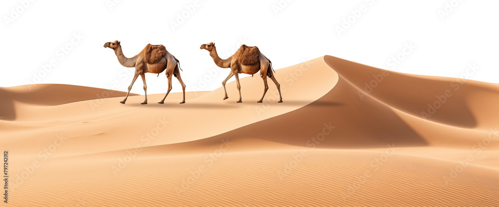 Nature Sand dunes PNG hot Sahara Desert isolated on white and ...