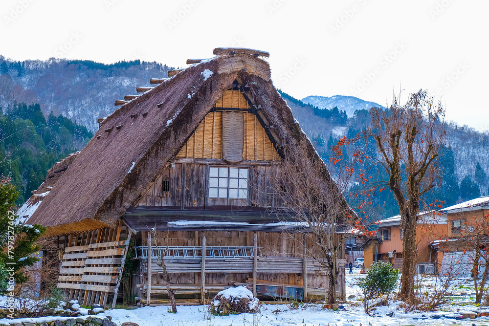The village of Shirakawa-go and Houses of Gassho-zukuri in Japan ...