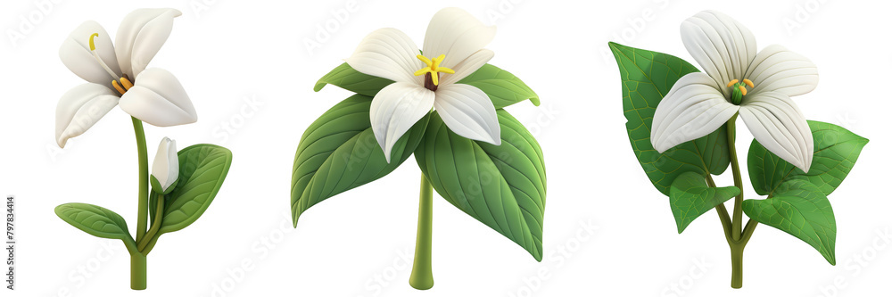 PNG white trillium 3d icons and objects collection, in cartoon style ...