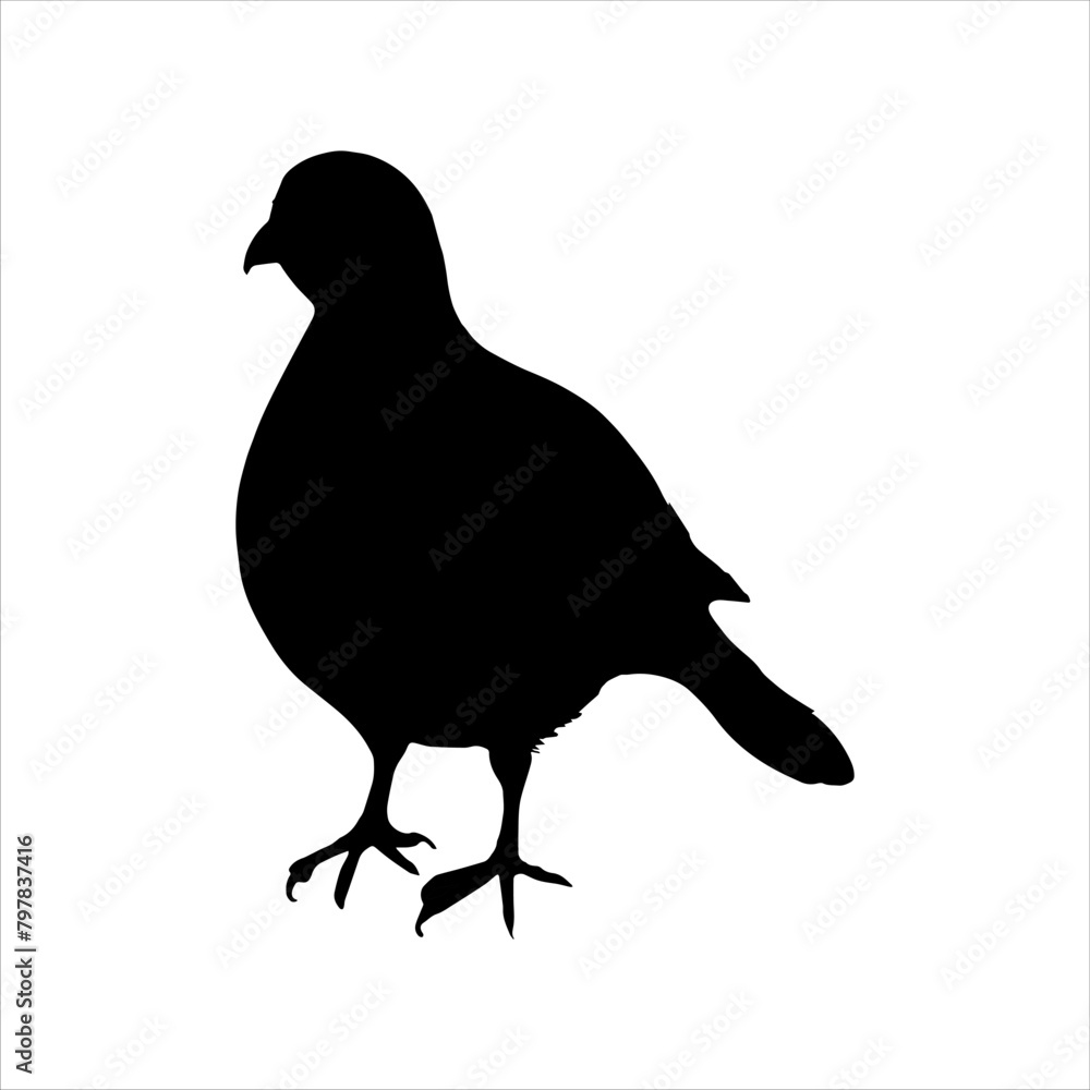 Bobwhite quail silhouette icon logo vector illustration isolated on ...