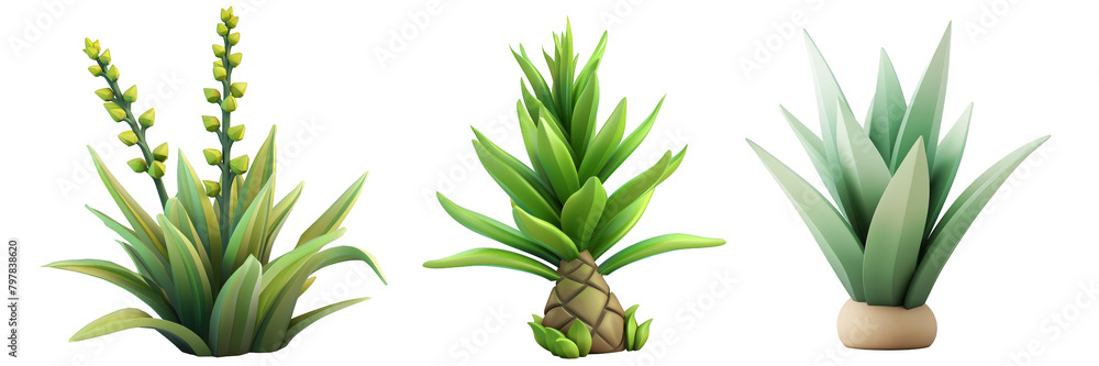 PNG yucca 3d icons and objects collection, in cartoon style minimal on ...