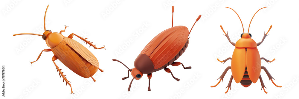 PNG cockroach 3d icons and objects collection, in cartoon style minimal ...