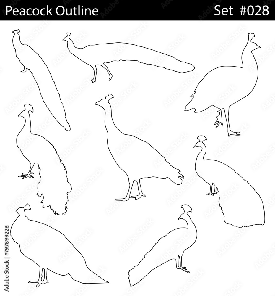Minimal style peacock line drawing, Side view, set of graphics peacocks ...